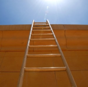 The Scala Naturae: Alive and Well in Modern Times – The Kimmela Center ...